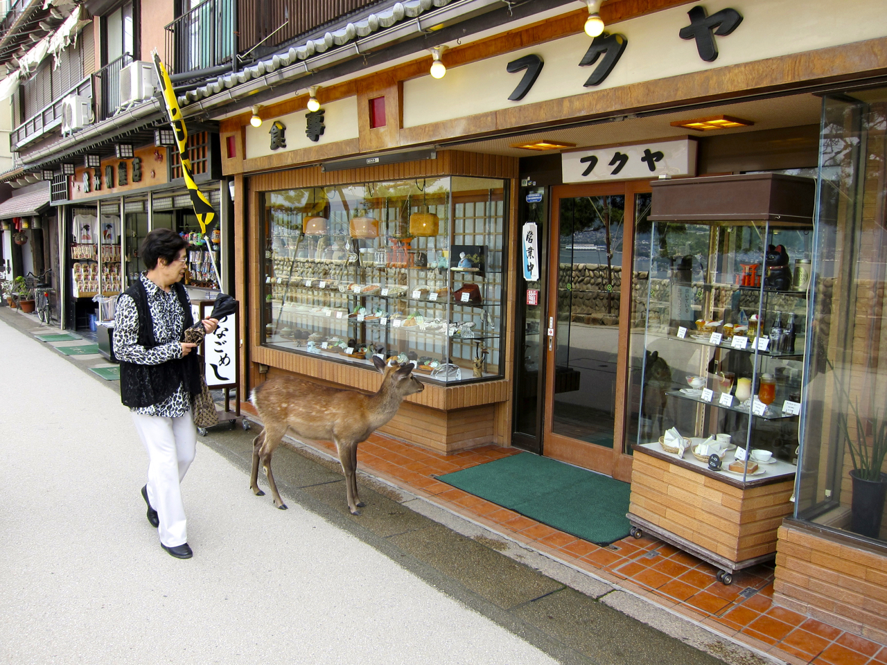 Magic in Japan: Day Trip to Miyajima - Magic of Miles